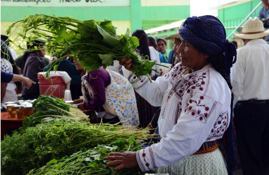 Los mixes: el pueblo indígena que jamás fue conquistado - Más de México