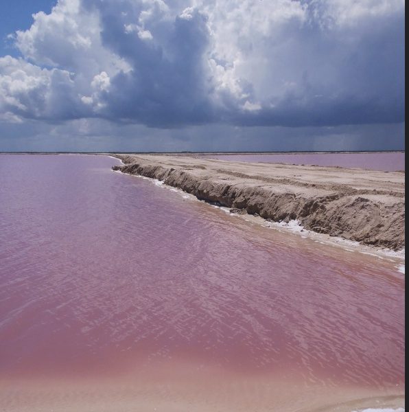 El improbable y asombroso Lago Rosa de Yucatán (FOTOS) - Más de México