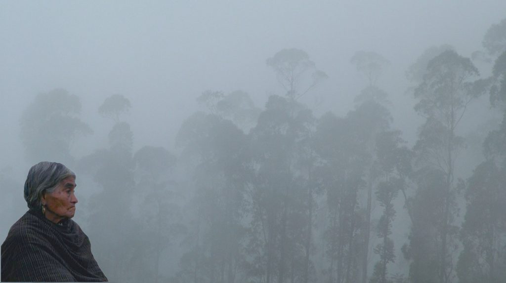 Un palpitante poema de Maria Sabina, la curandera oaxaqueña - Más de México