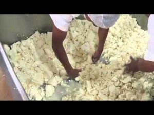 10 quesos mexicanos poco conocidos y deliciosos - Más de México