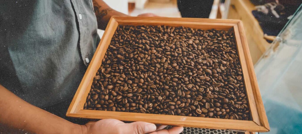 ¿Por qué el café mexicano está enamorando a México y al mundo? - Más de ...