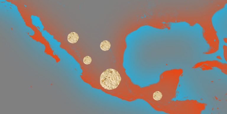 Este mapa te dice dónde encontrar las mejores tortillas en México (100% ...