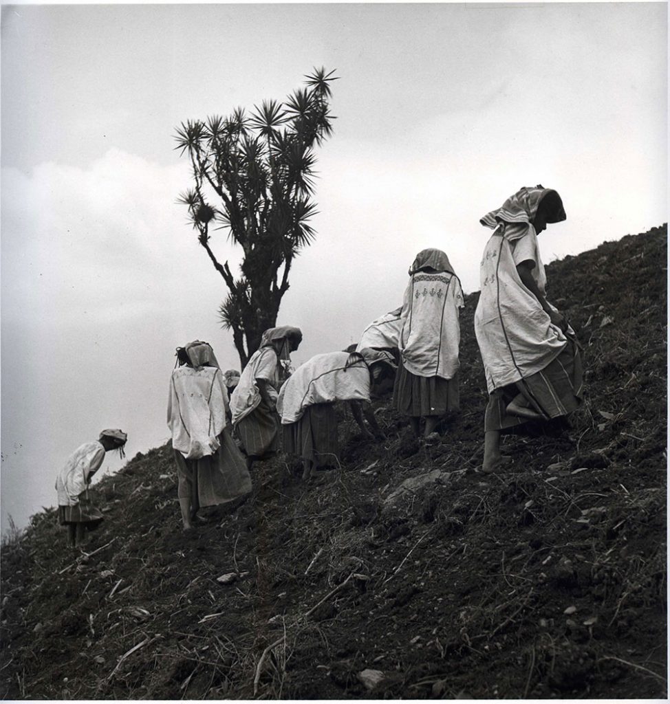 Mexico Fellaheen: el mexicano como sabio vagabundo - Más de México