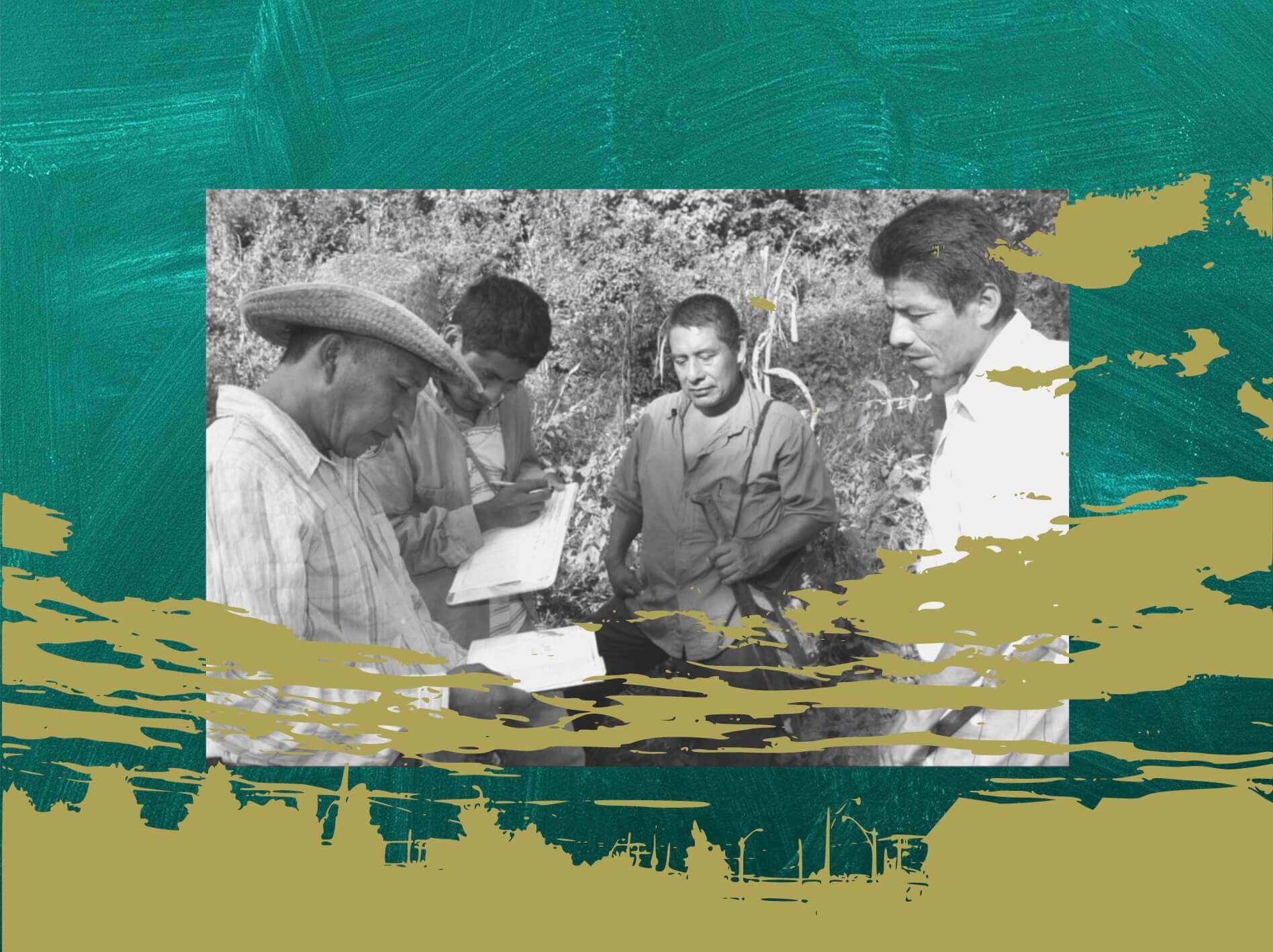 Ciencia ciudadana: una herramienta para repensar cómo se genera el conocimiento - Más de México